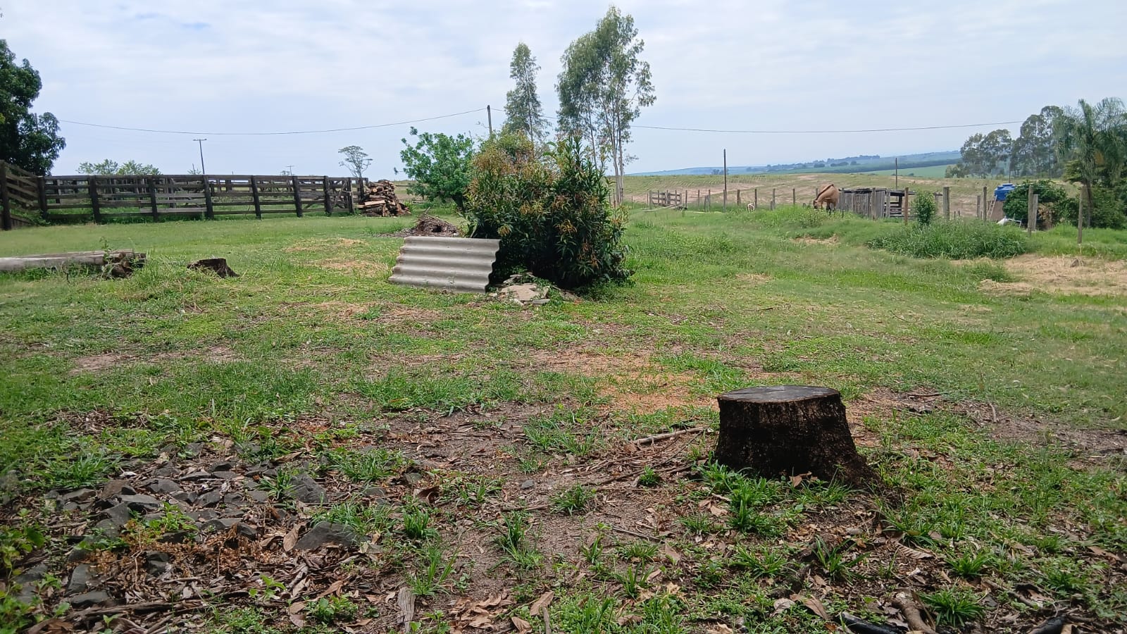 Infração ambiental resulta em multa e embargo de área no município de ...